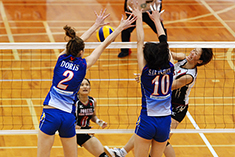 2013/14 V・チャレンジリーグ 試合結果詳細 (フォレストリーヴズ熊本戦）| PFUブルーキャッツ