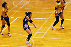 2013/14 V・チャレンジリーグ 試合結果詳細 (第5戦 上尾メディックス戦）| PFUブルーキャッツ