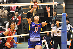 2013/14 V・チャレンジリーグ 試合結果詳細 (第8戦 仙台ベルフィーユ戦）| PFUブルーキャッツ