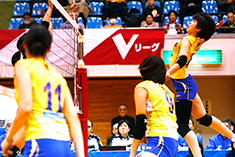 2013/14 V・チャレンジリーグ 試合結果詳細 (第12戦 柏エンゼルクロス戦）| PFUブルーキャッツ