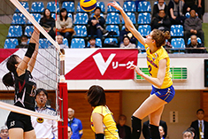 2013/14 V・チャレンジリーグ 試合結果詳細 (第12戦 柏エンゼルクロス戦）| PFUブルーキャッツ