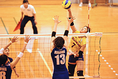 2013V・サマーリーグ（グループリーグ戦） 試合結果詳細 (東レアローズ戦）| PFUブルーキャッツ